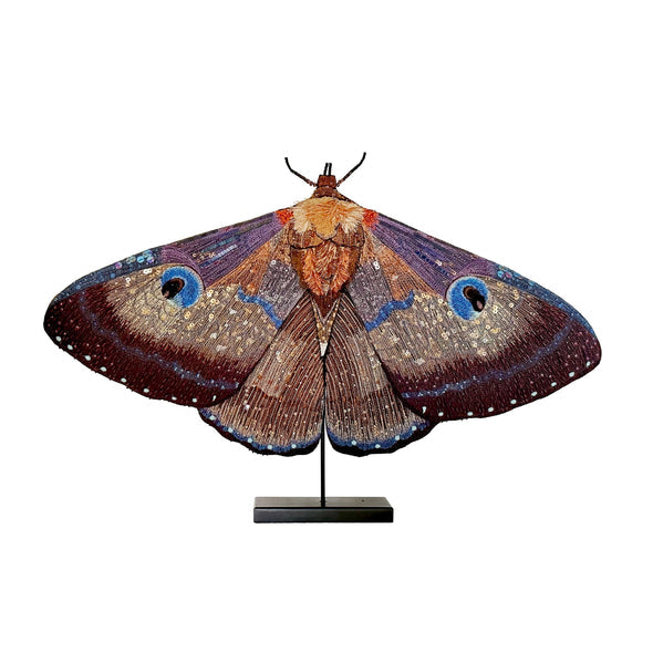 Giant Silk Moth Object Art – The Margaret Cleveland