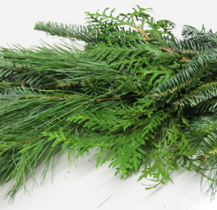 Mixed Evergreen Garland – The Margaret Cleveland
